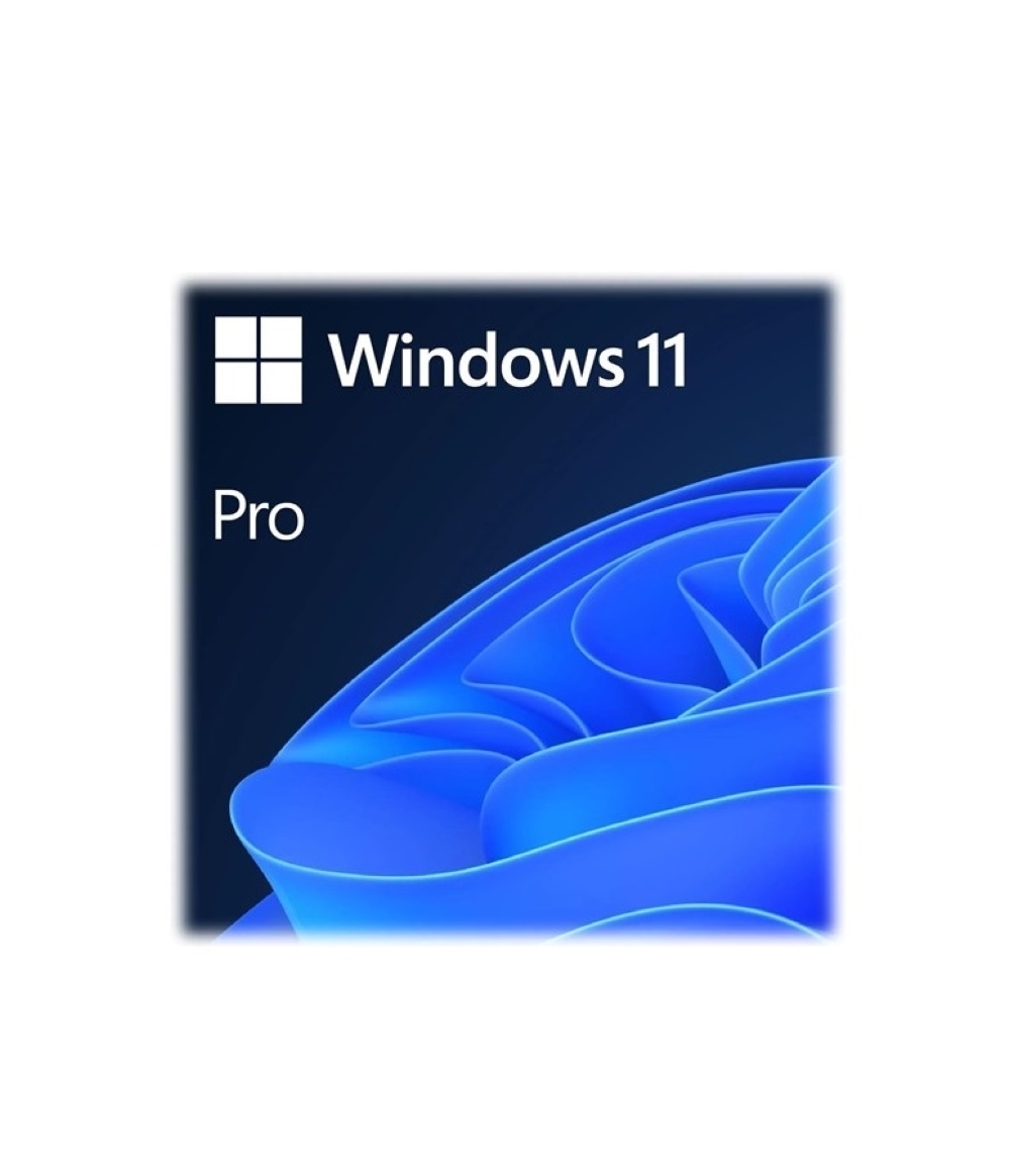 Shop Microsoft Windows 11 Professional 64bit (OEM) Fqc-10528